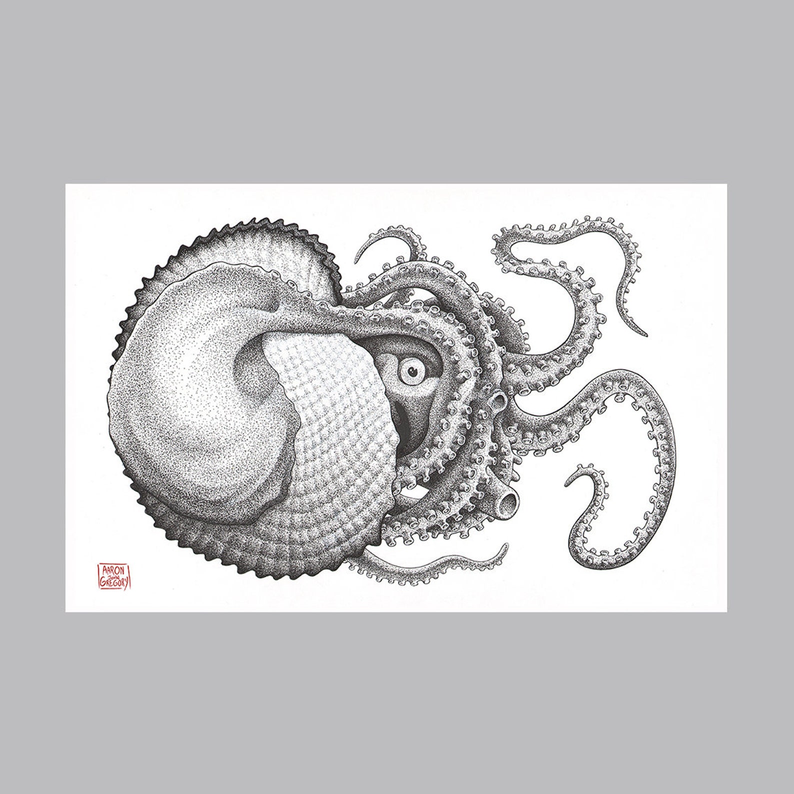 Art Print - Argonaut Octopus - Etsy