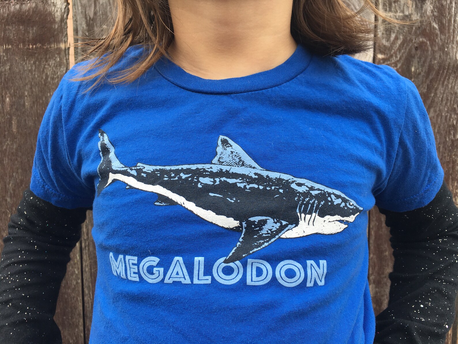 Megalodon Dinosaur Beautifully Screenprinted With 3 Colors Ink on ...