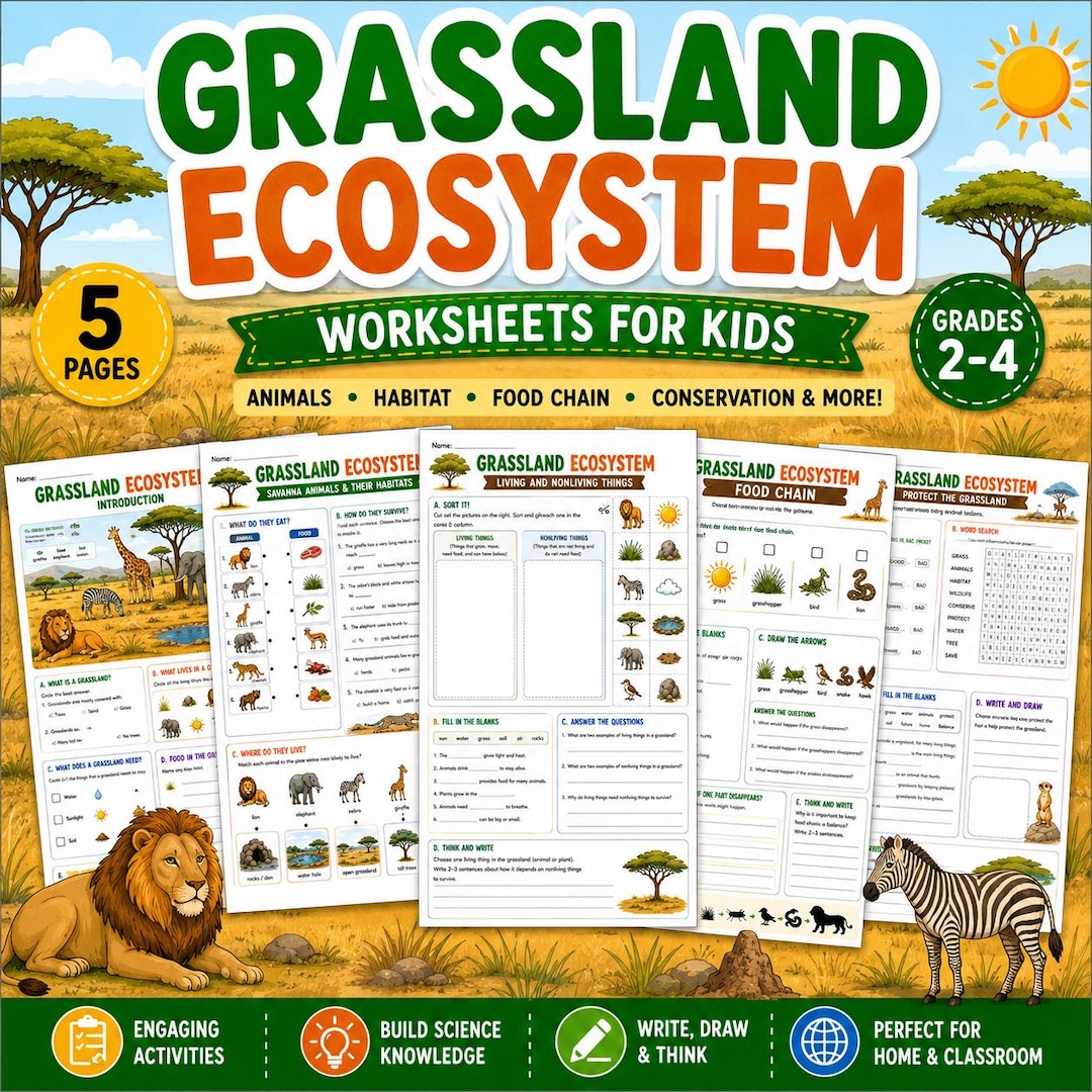 Grassland Ecosystem Worksheets for Kids | Savanna Animals, Food Chain ...