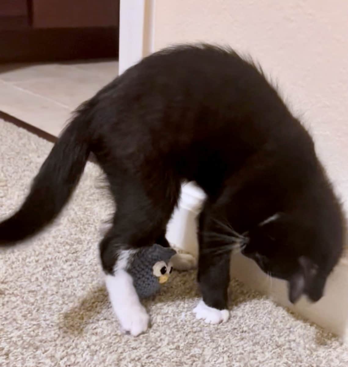 CROCHET PATTERN for You to Make a Fun Weeble Wobble Owl Toy With Bell ...