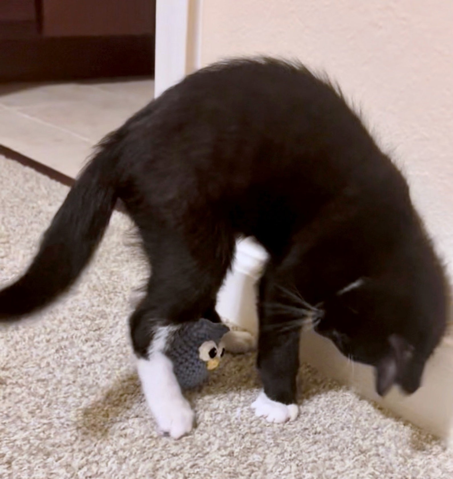 CROCHET PATTERN for You to Make a Fun Weeble Wobble Owl Toy With Bell ...