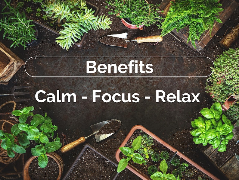 Spanish Word Search Printable – Garden Tools | Botanical Word Search ...