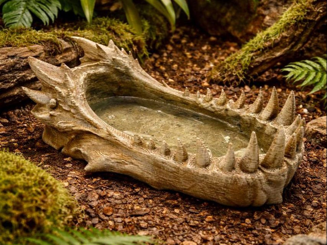 Dragon Jaw Bone Water Dish - Mythical Reptile Feeding Bowl - 3D Printed ...