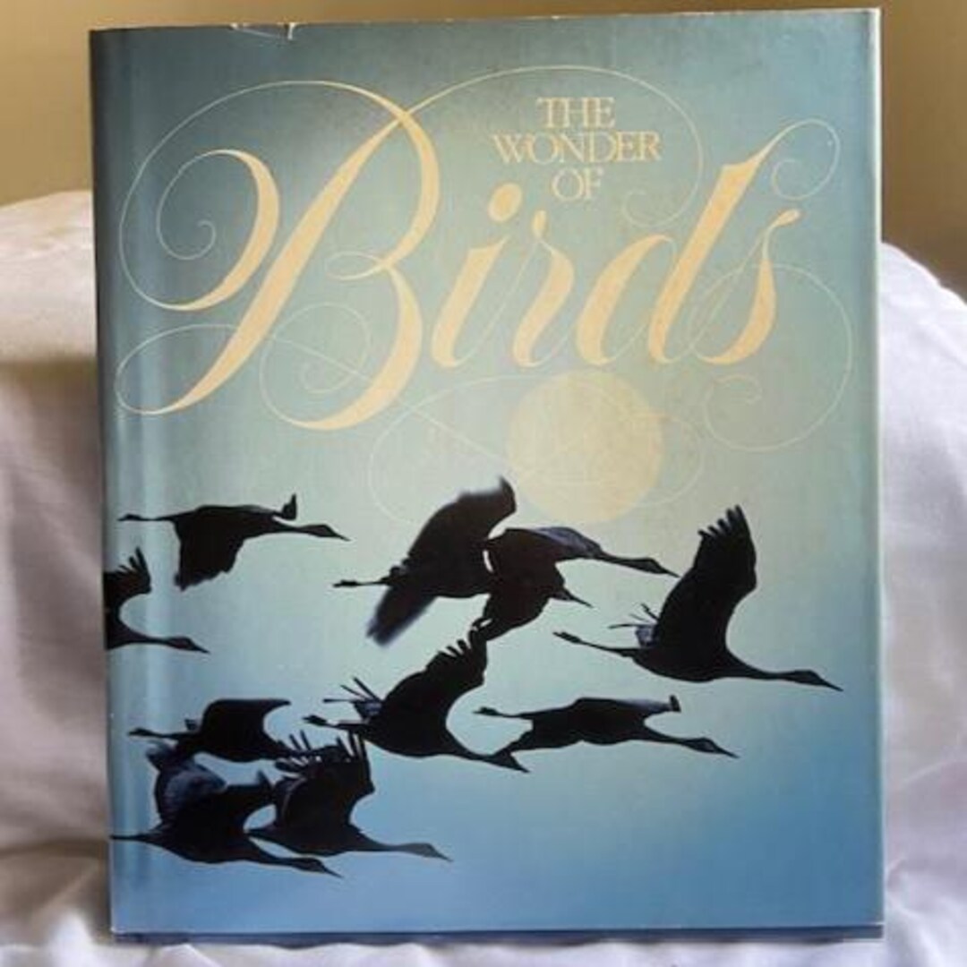 Nonfiction Book: the Wonder of Birds (vintage) -- 354-G - Etsy
