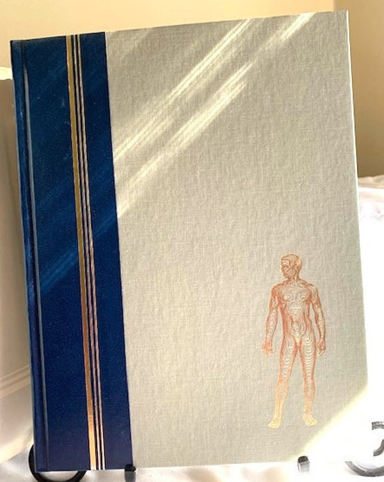 Science: Abc's of the Human Body by Reader's Digest | Etsy