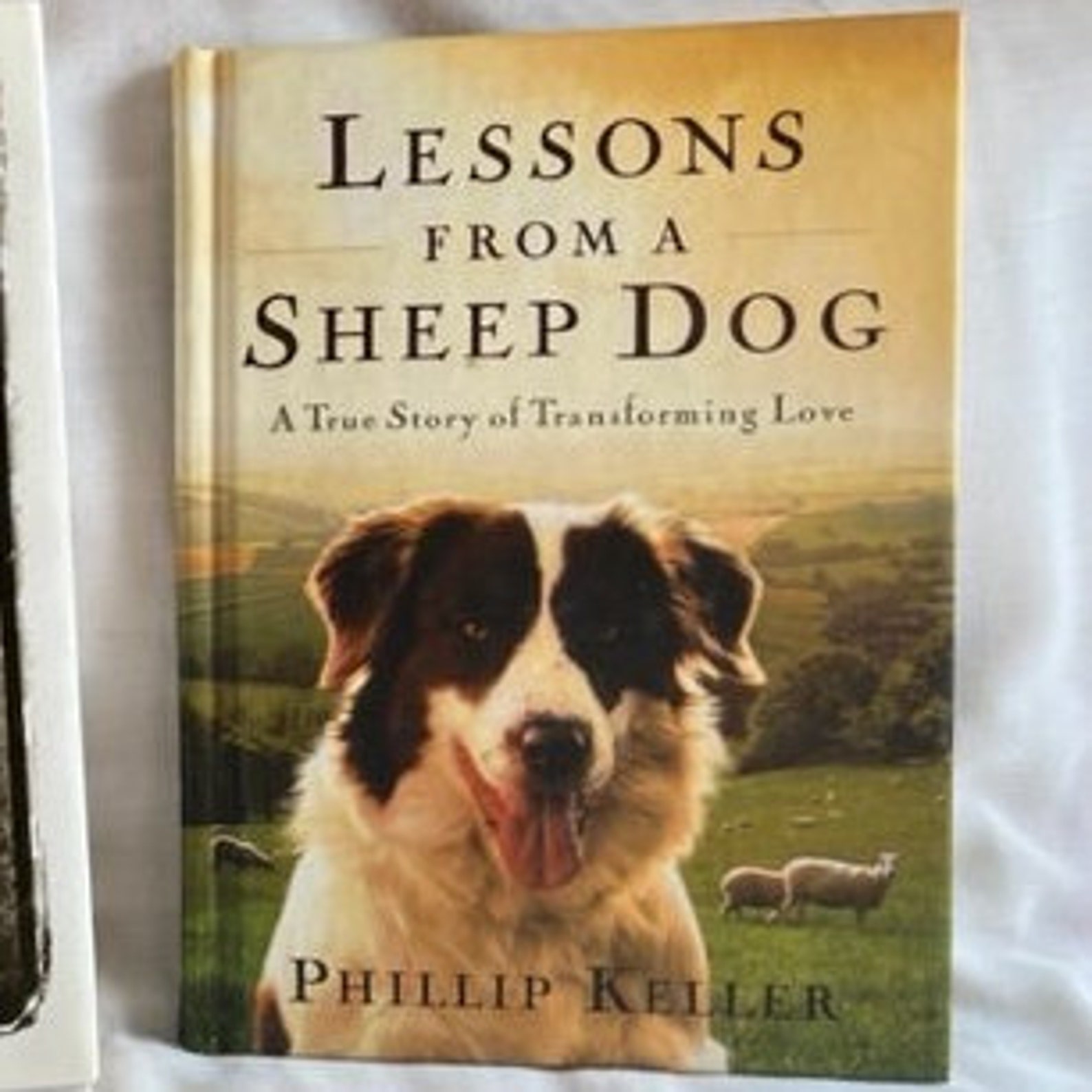 Spiritual: Lessons From a Sheep Dog 8731-GBR - Etsy