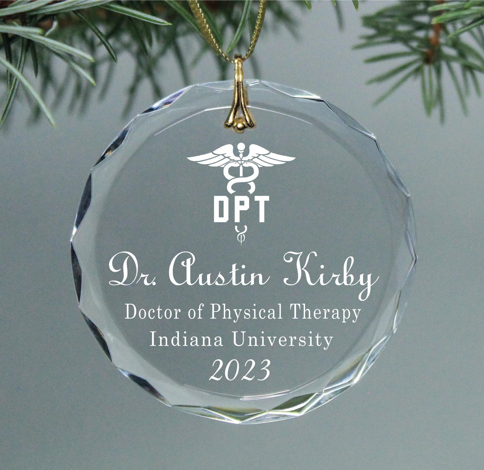 Doctoral Degree in Physical Therapy DPT Degree Graduation | Etsy