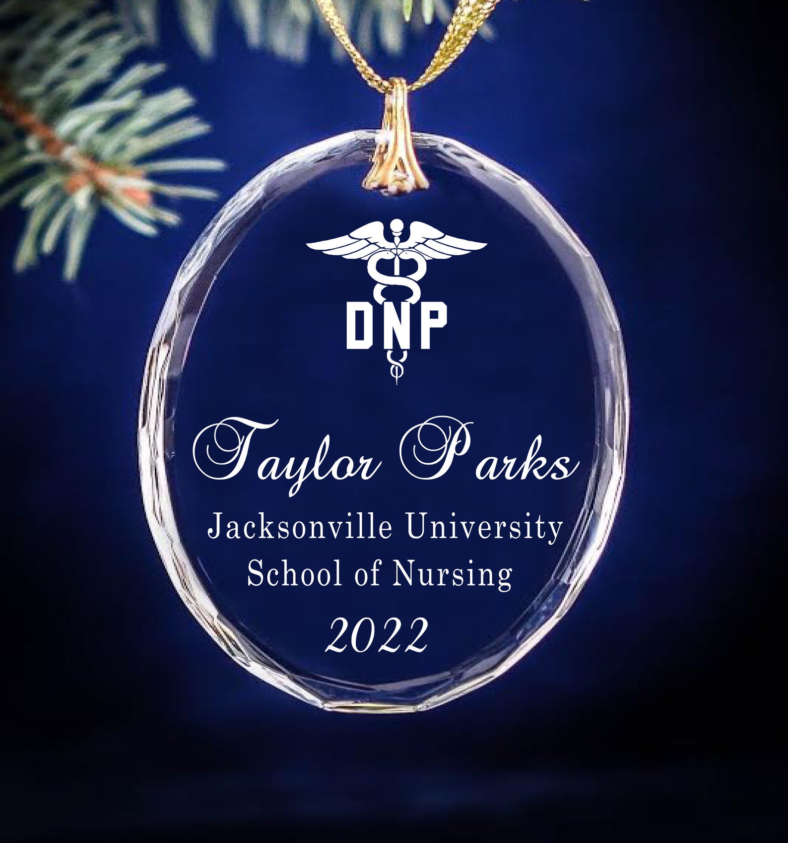 DNP Doctorate of Nursing Practice Degree Graduation Keepsake - Etsy