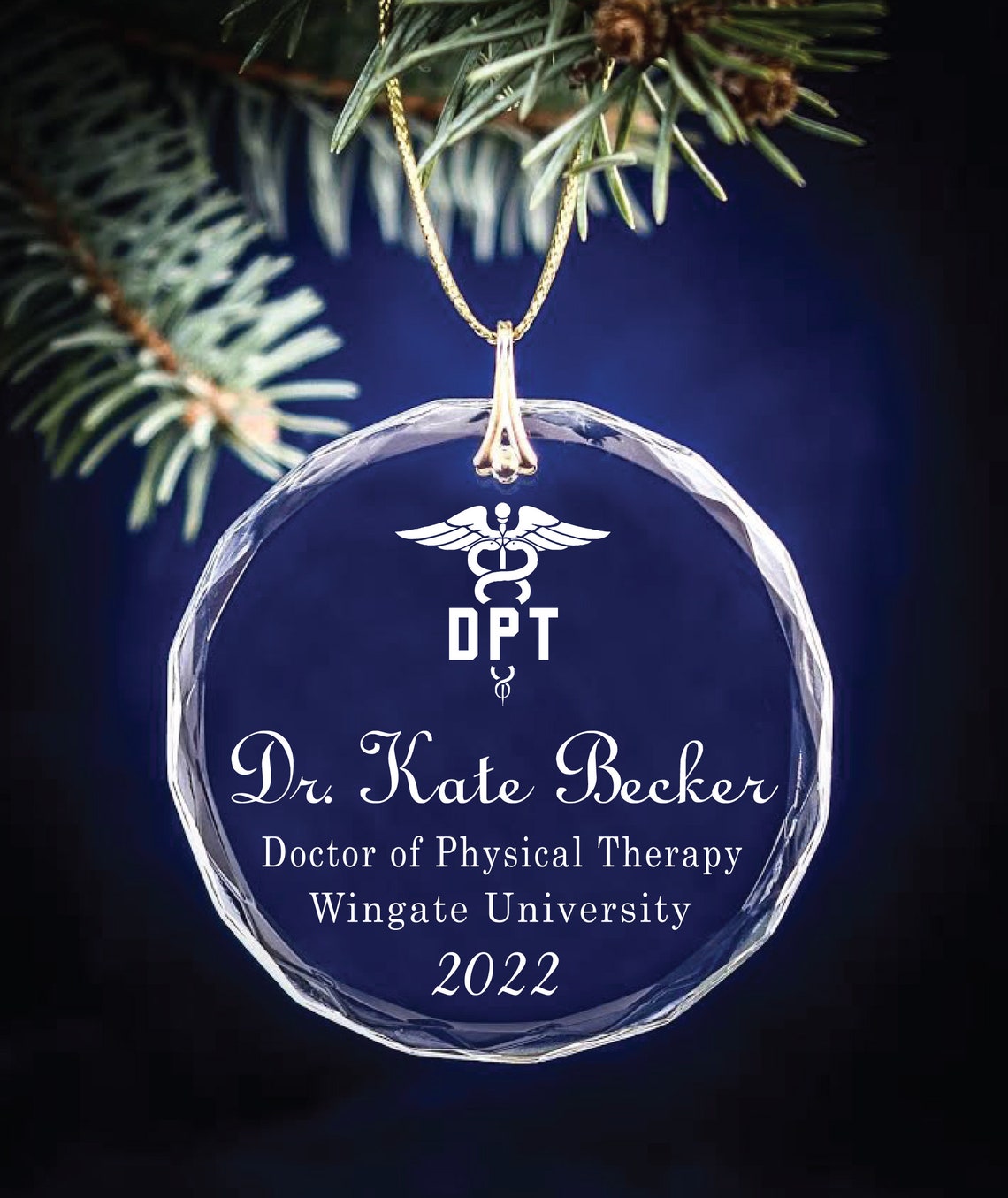 Doctoral Degree in Physical Therapy DPT Degree Graduation | Etsy