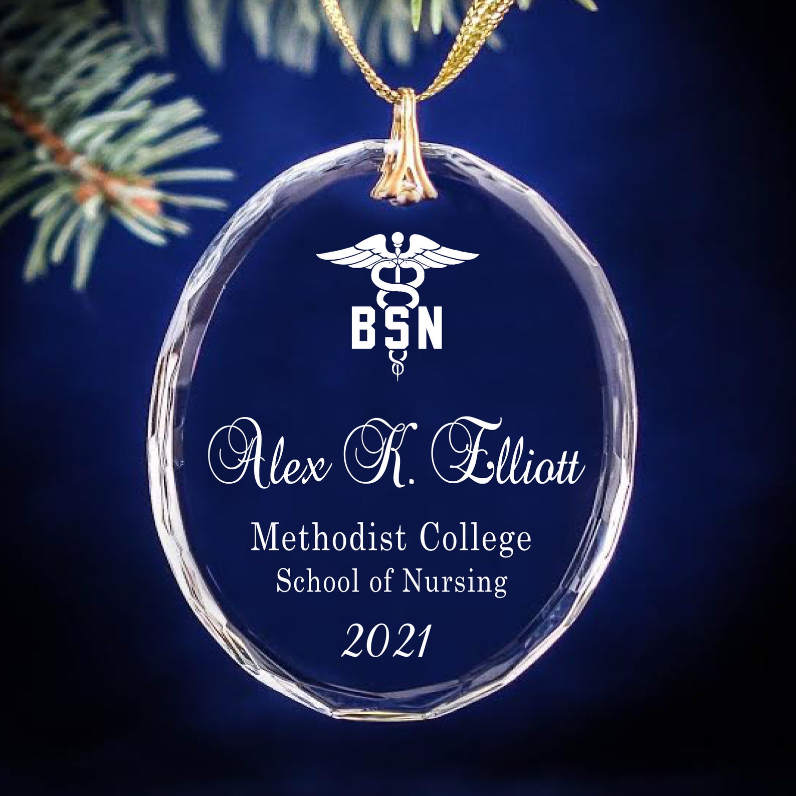 BSN Bachelor of Science Nursing Degree Graduation Oval - Etsy