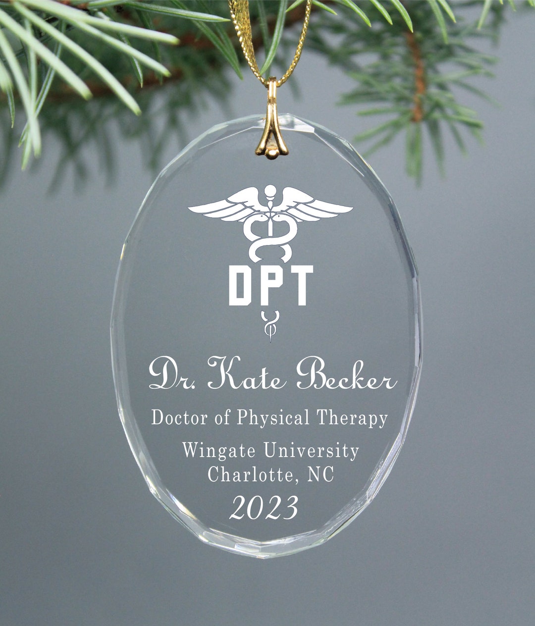 Doctoral Degree in Physical Therapy DPT Degree Graduation - Etsy