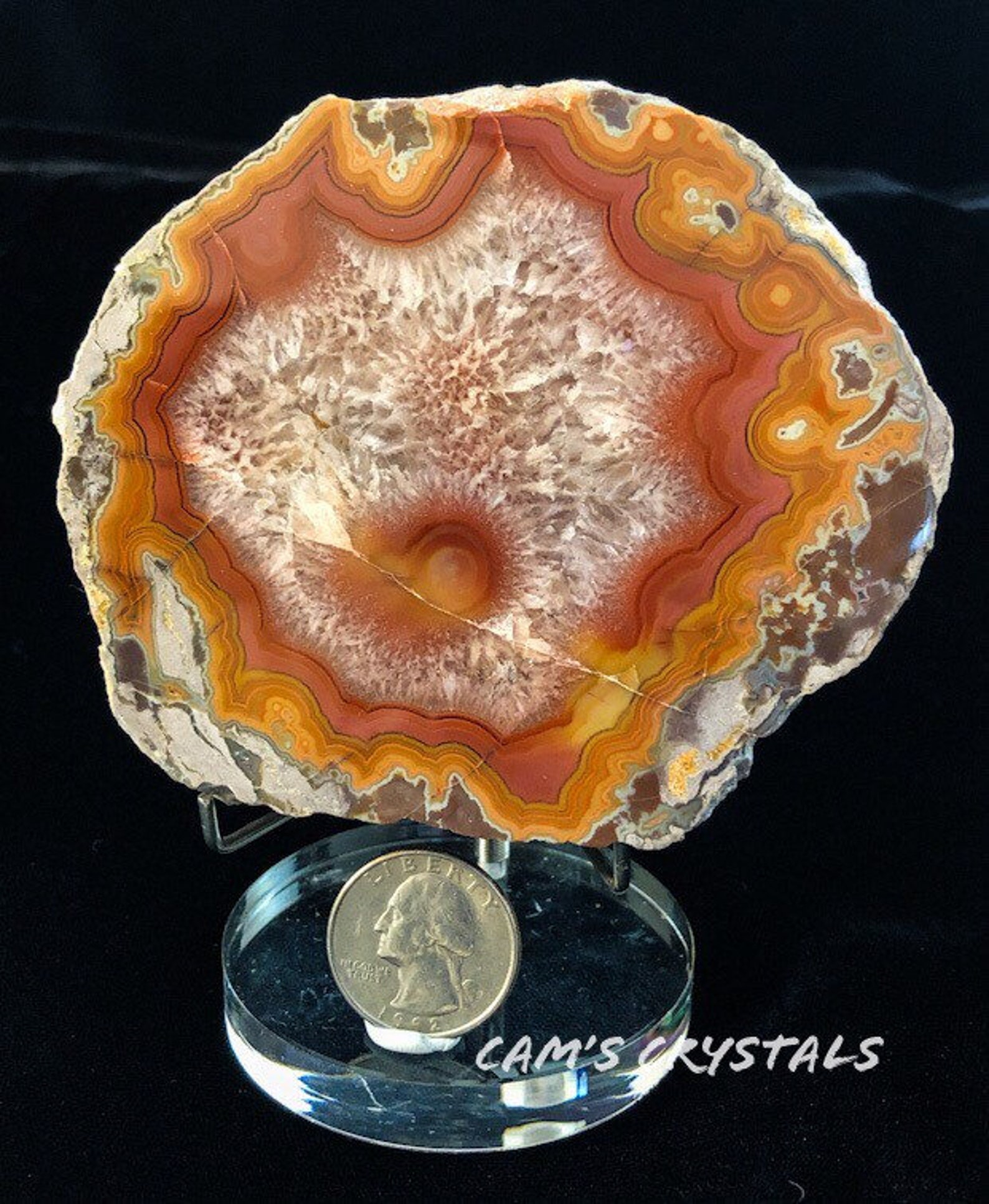 Dryhead Agate From Montana - Etsy