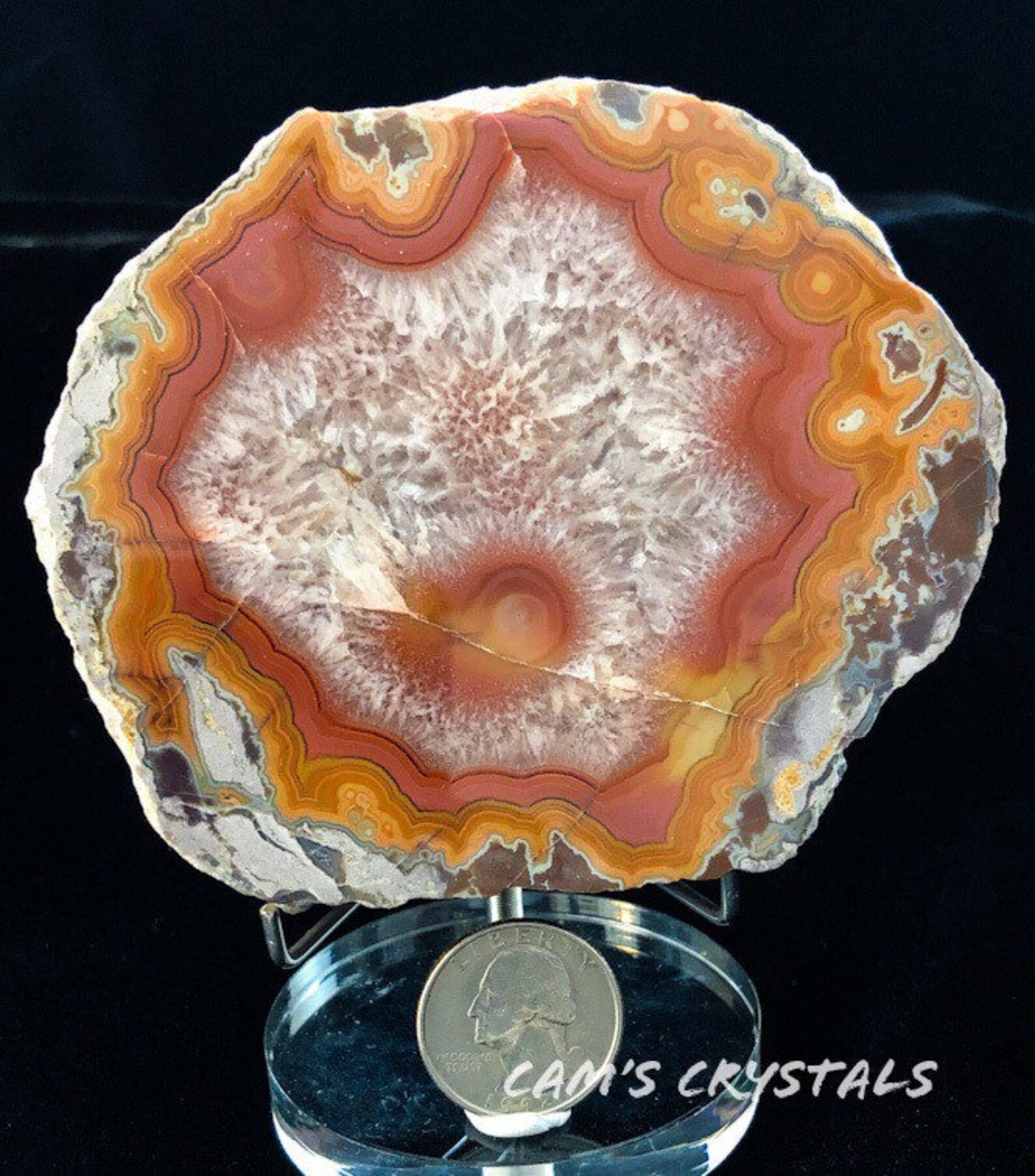 Dryhead Agate From Montana - Etsy