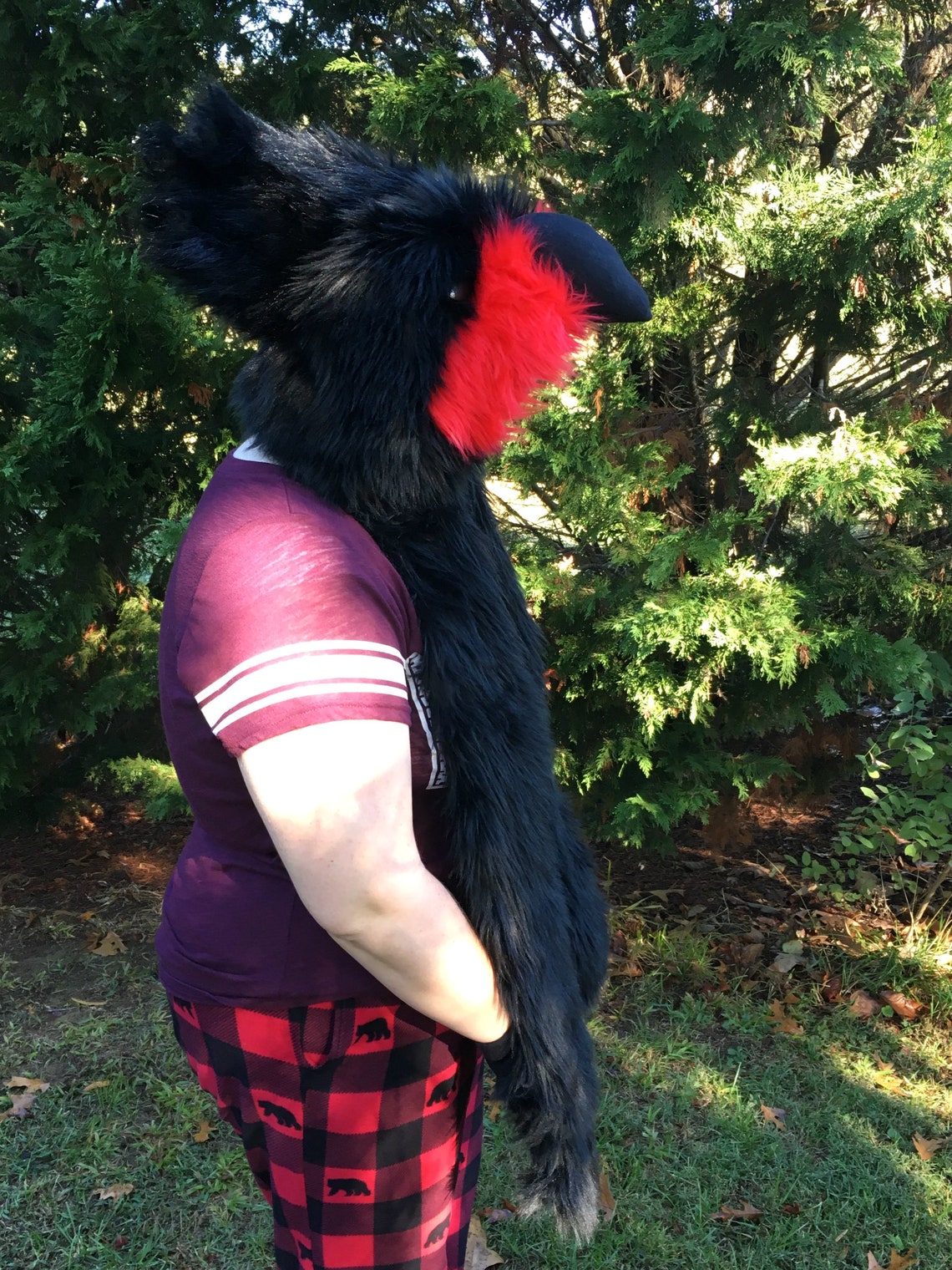 Black Palm Cockatoo Scoodie Parrot Hood Parrot Costume - Etsy