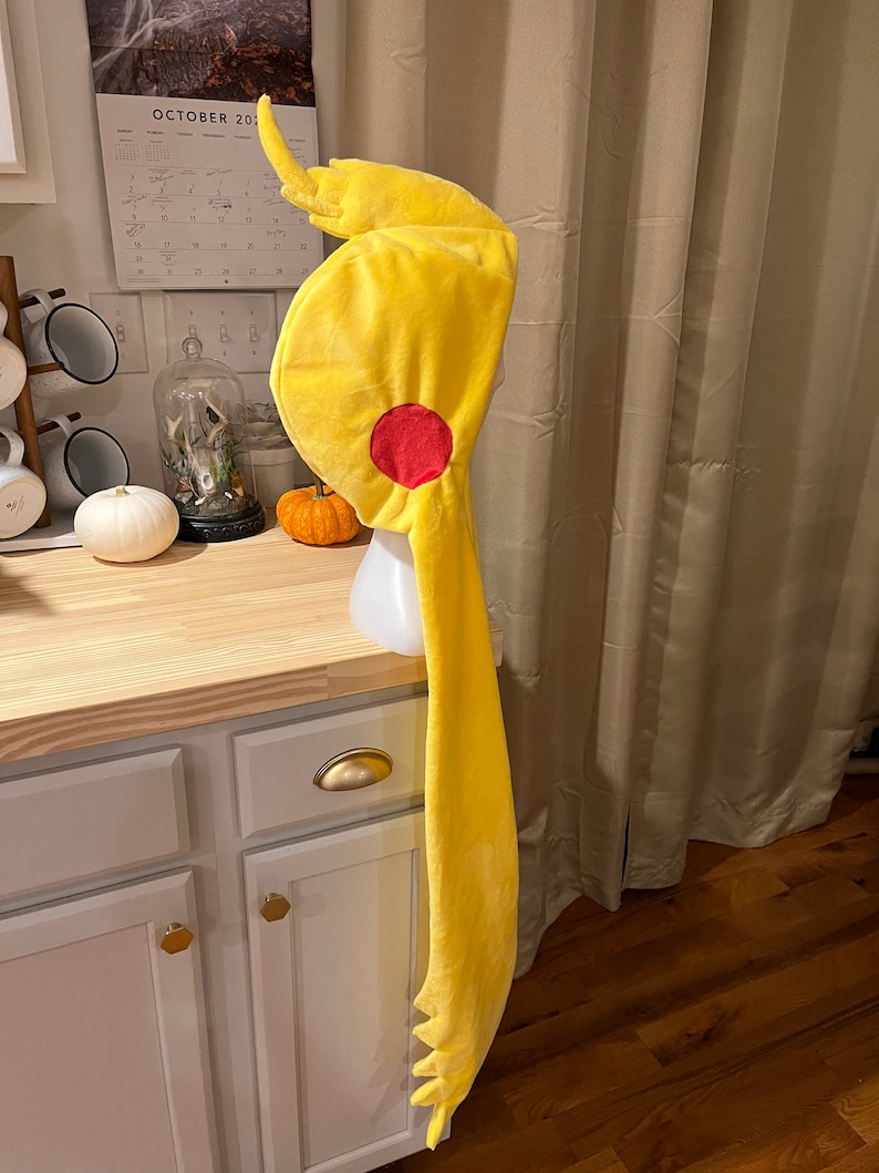 Cockatiel Scoodie Parrot Hood Cockatiel Hat - Etsy