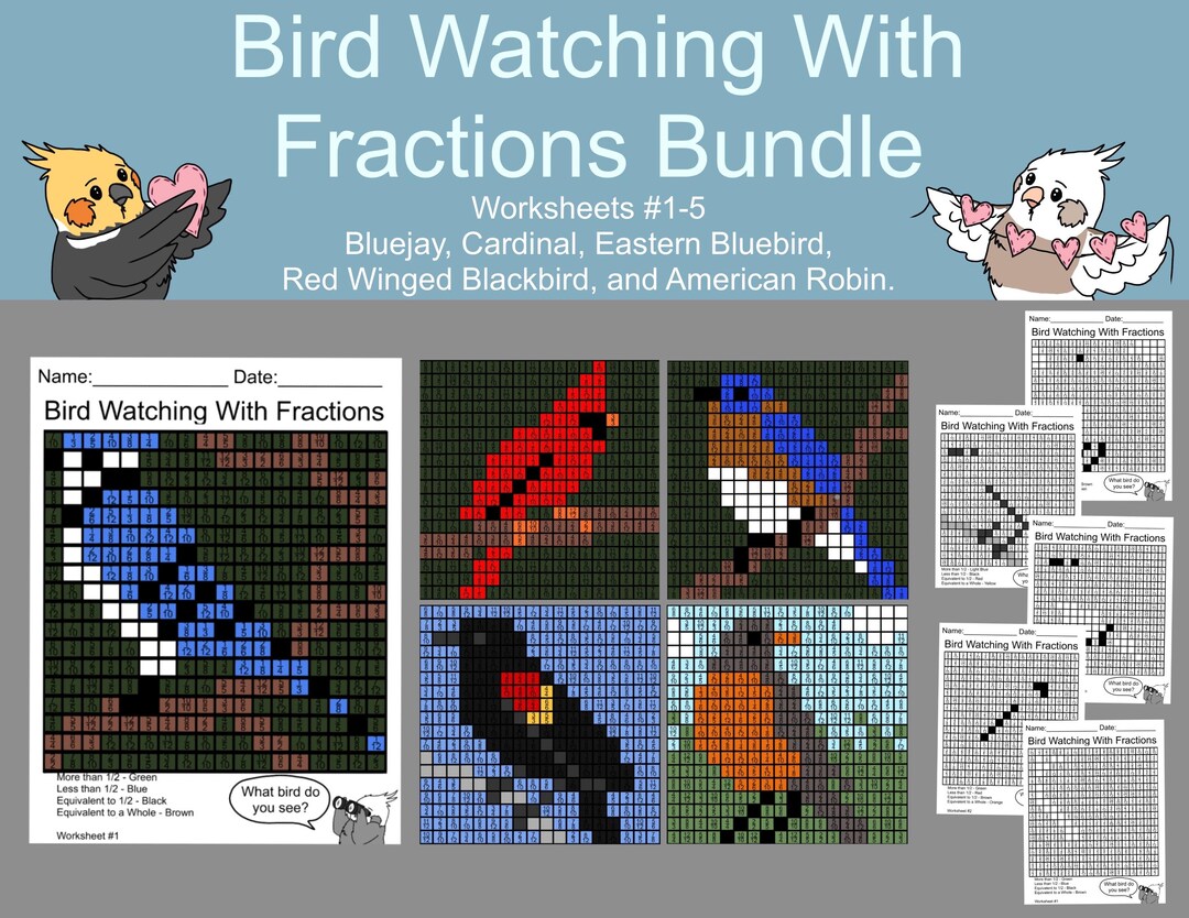 Mystery Picture Fractions Bundle | Birdwatching With Fractions ...