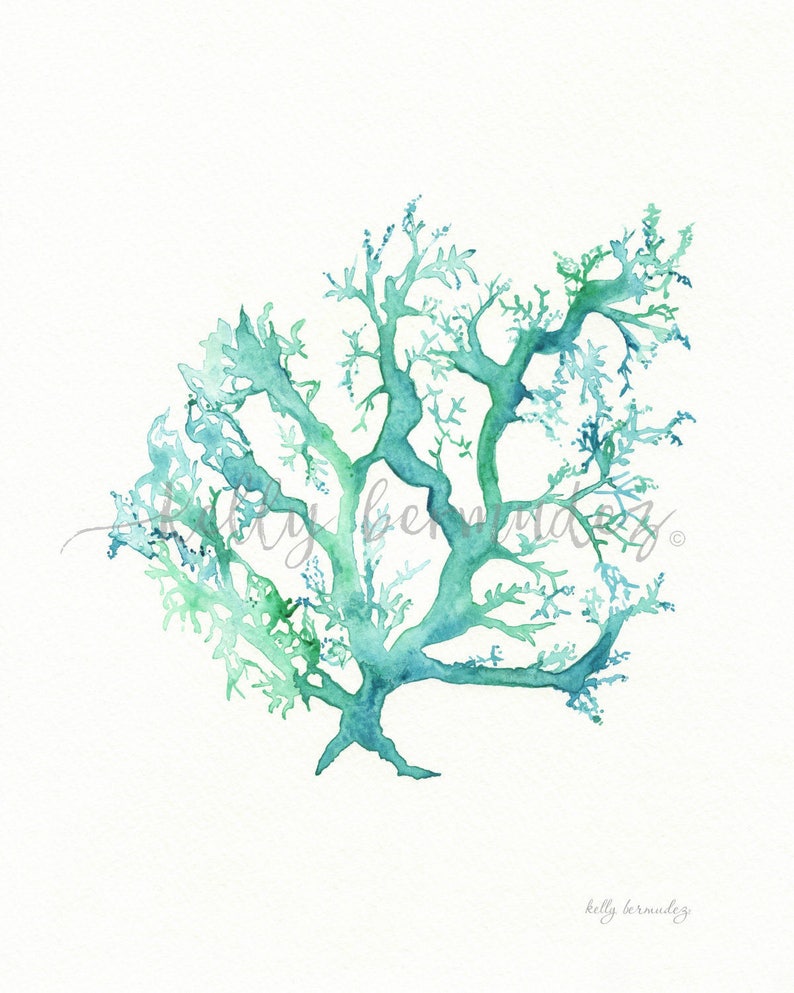 Coral Print Beach Art Coral Watercolor Coral Art Coral - Etsy