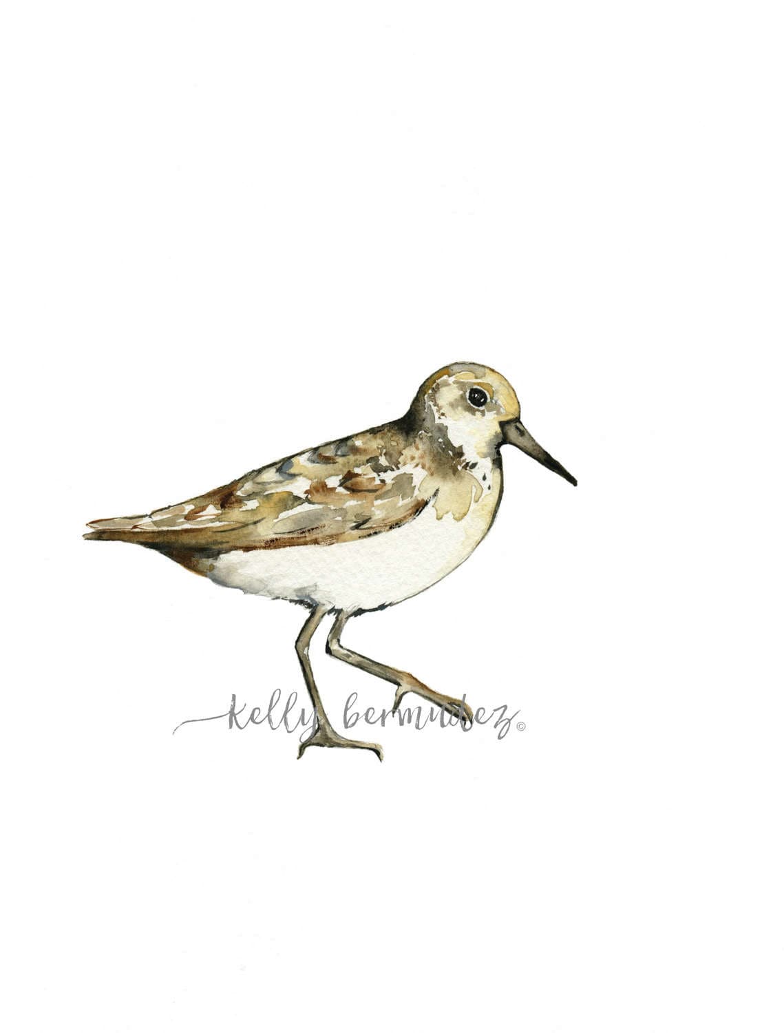 Sand Piper Watercolor, Wall Art, Bird Art, Beach Art, Printable Art ...