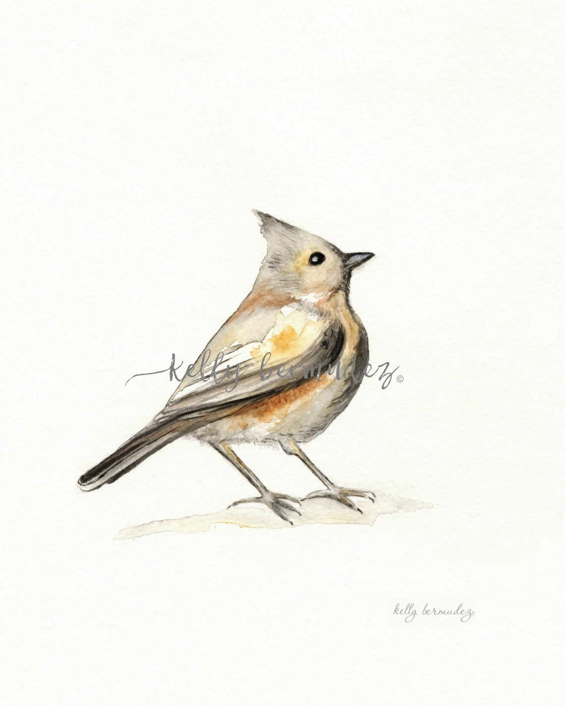 Bird Art Bird Print Printable Art Watercolor Printable A | Etsy