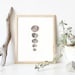 David's 5 Smooth Stones, Nature Art, Watercolor Print, Wall Art ...