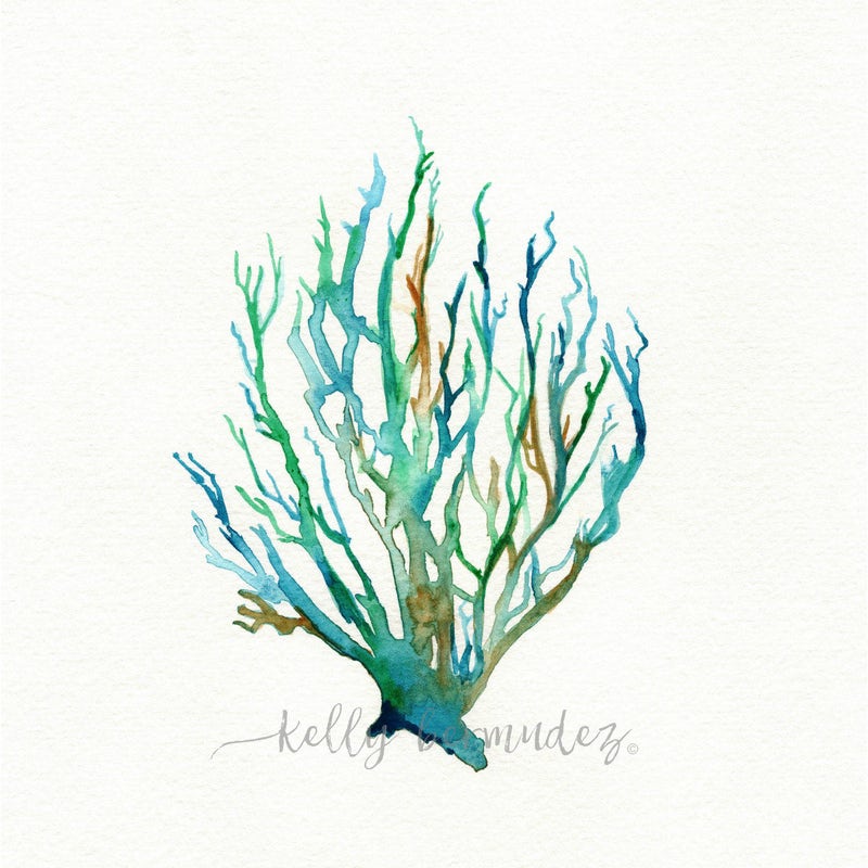 Coral Watercolor - Etsy