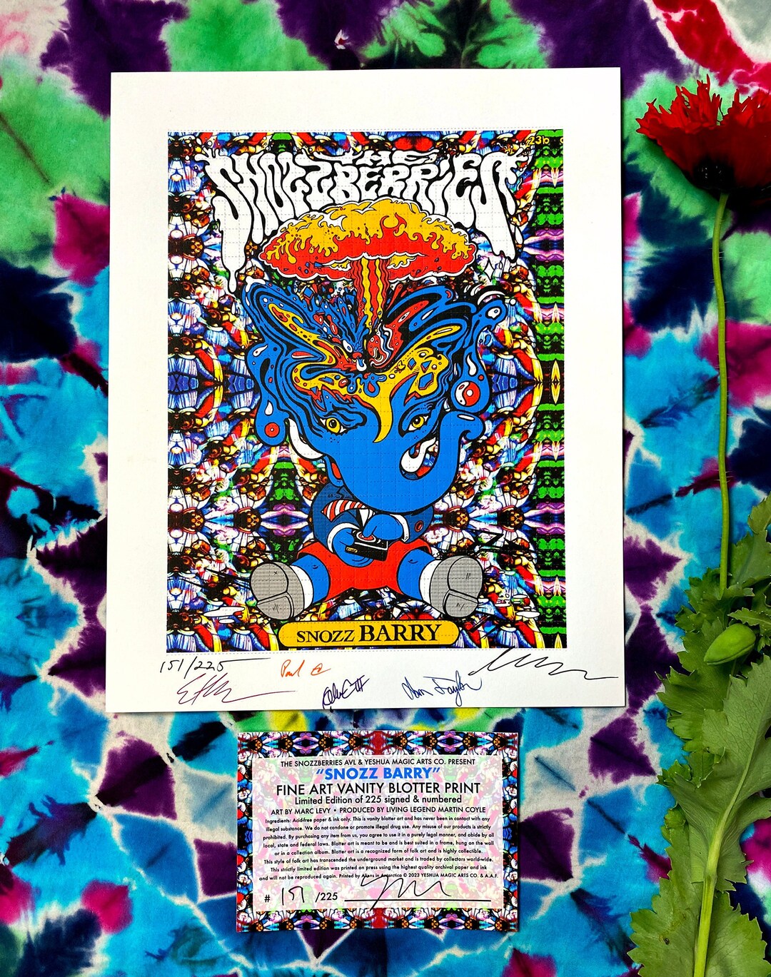 The Snozzberries Band & Artist Signed SNOZZ BARRY Vanity Blotter Fine ...
