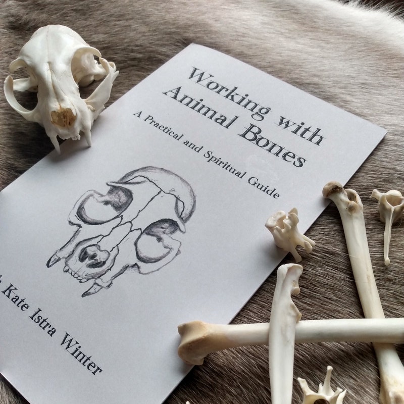 Animal Bones - Etsy
