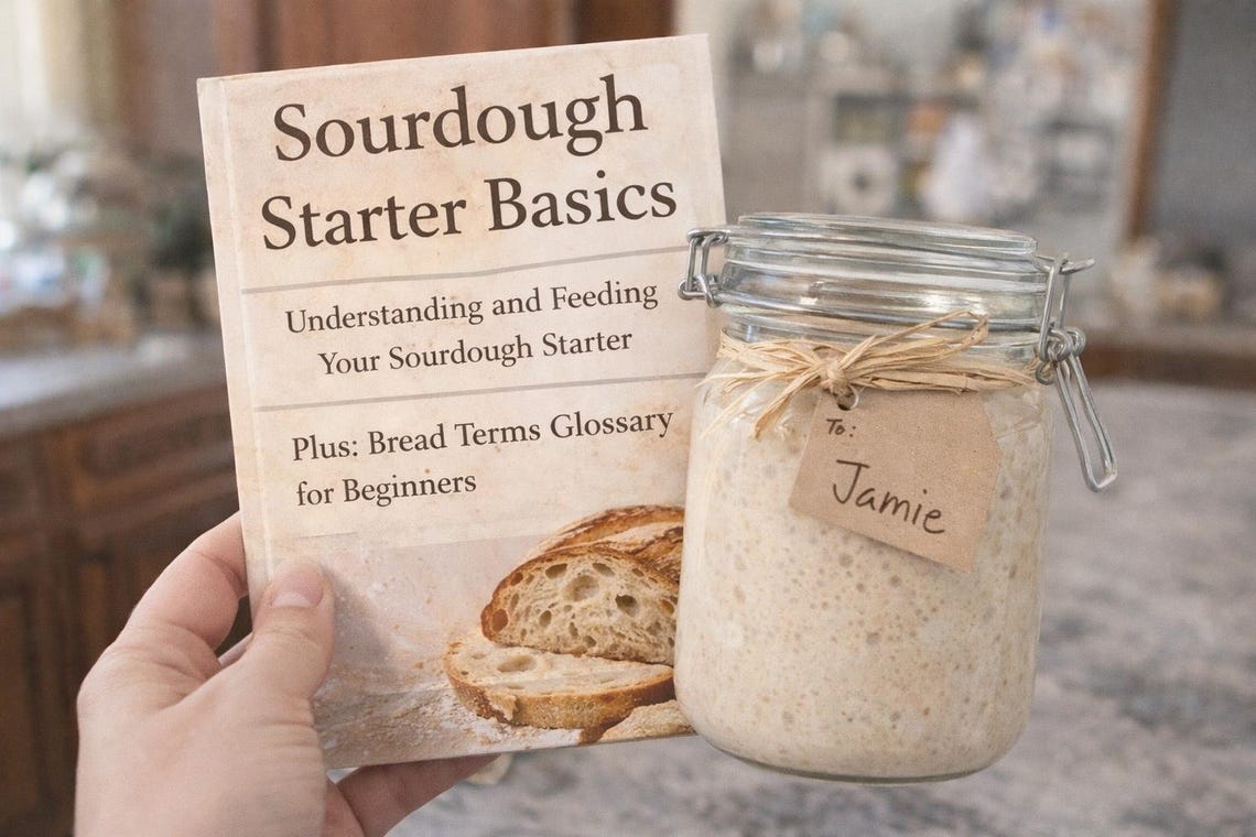 Sourdough Starter Basics for Beginners | Feeding, Care & Bread Terms ...