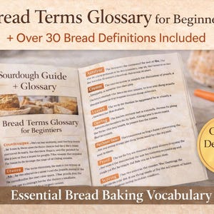 Sourdough Starter Basics for Beginners | Feeding, Care & Bread Terms ...