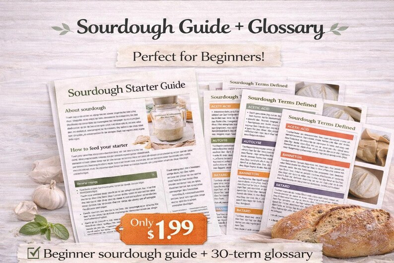 Sourdough Starter Basics for Beginners | Feeding, Care & Bread Terms ...