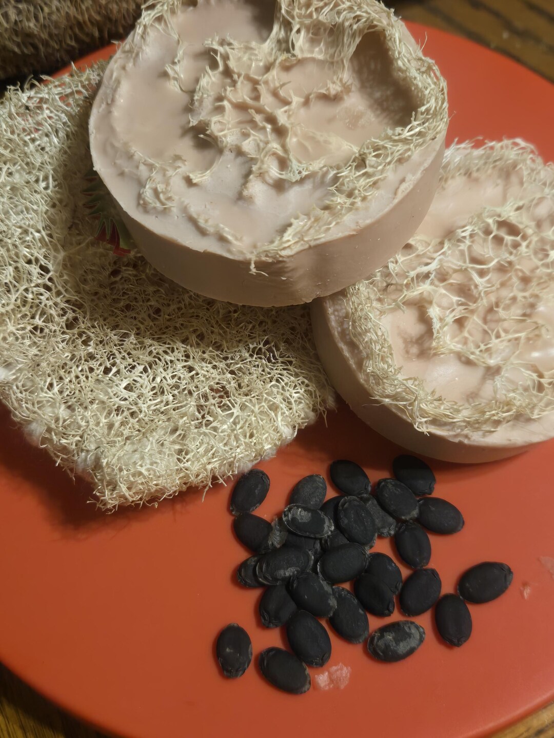 Organic Loofah Seeds - 2025 Season - Etsy