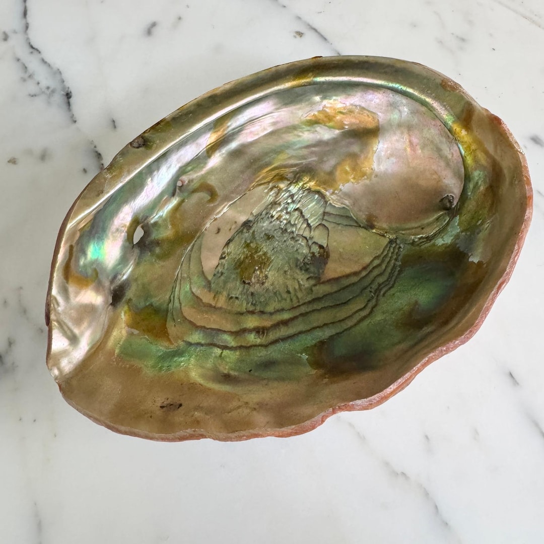 Large Abalone Shell, Iridescent Decor, Coastal Home Decor, Seashell ...