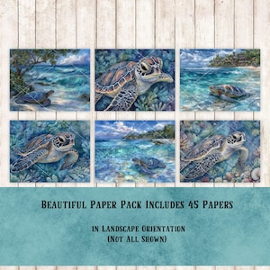 Watercolor Sea Turtle Digital Paper: Scrapbook, Junk Journal (8.5x11 ...