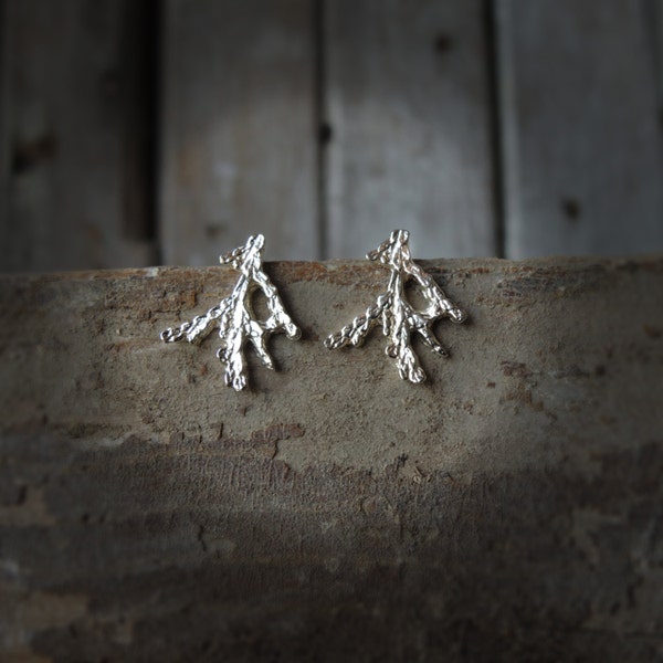 Cedar Silver Earrings - Etsy
