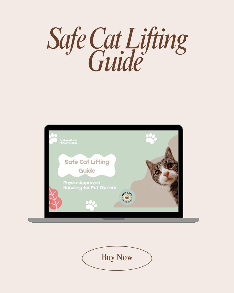Safe Cat Lifting Guide - Pawsafe Physio Guides - Etsy