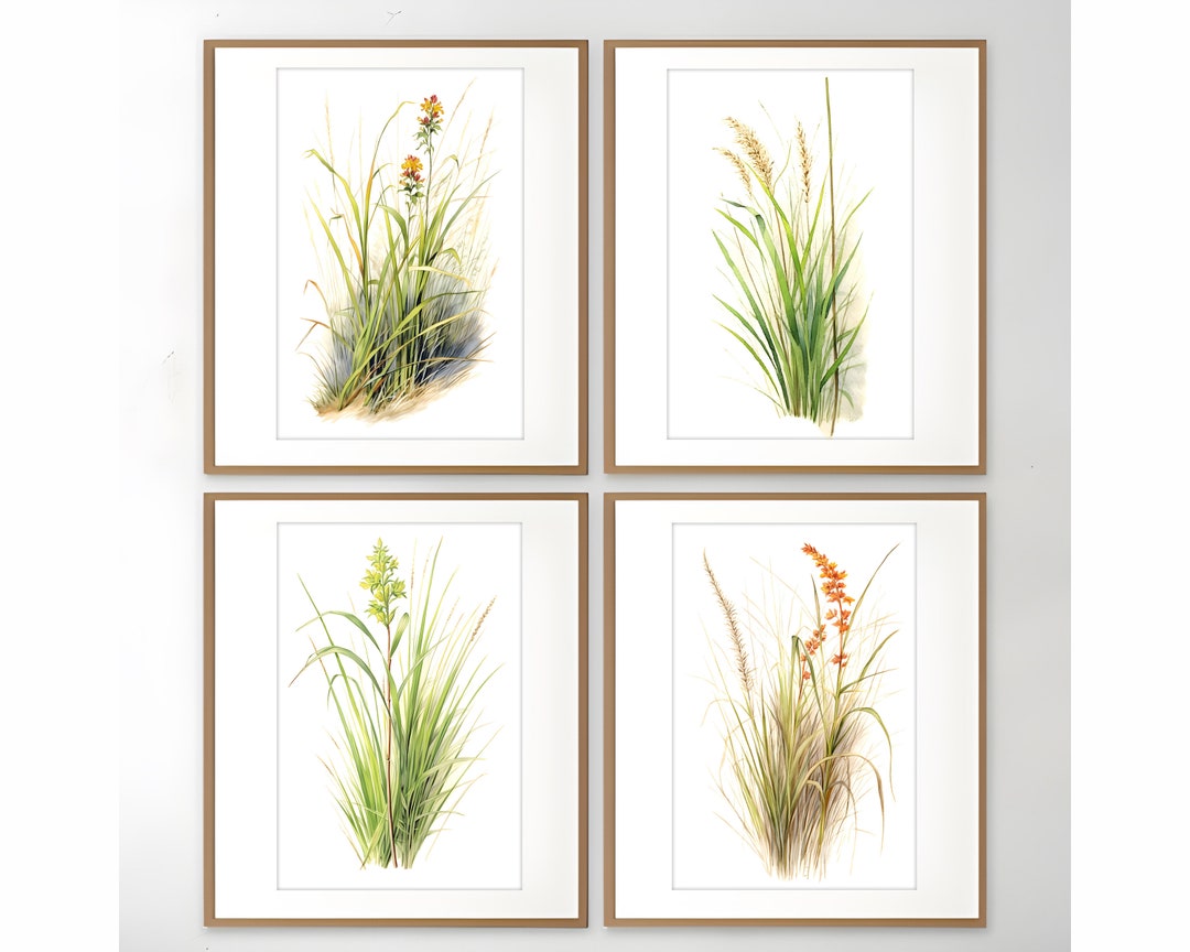 Prairie Grass Colored Pencil Drawing Set: Botanical Art Print (digital ...