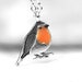 Dainty Robin Bird Necklace. Sterling Silver and Orange Enamel. Nature ...