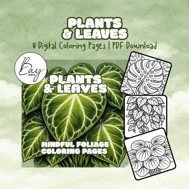 Plants and Leaves | 8 Bold & Easy Coloring Pages | Stress Relief ...