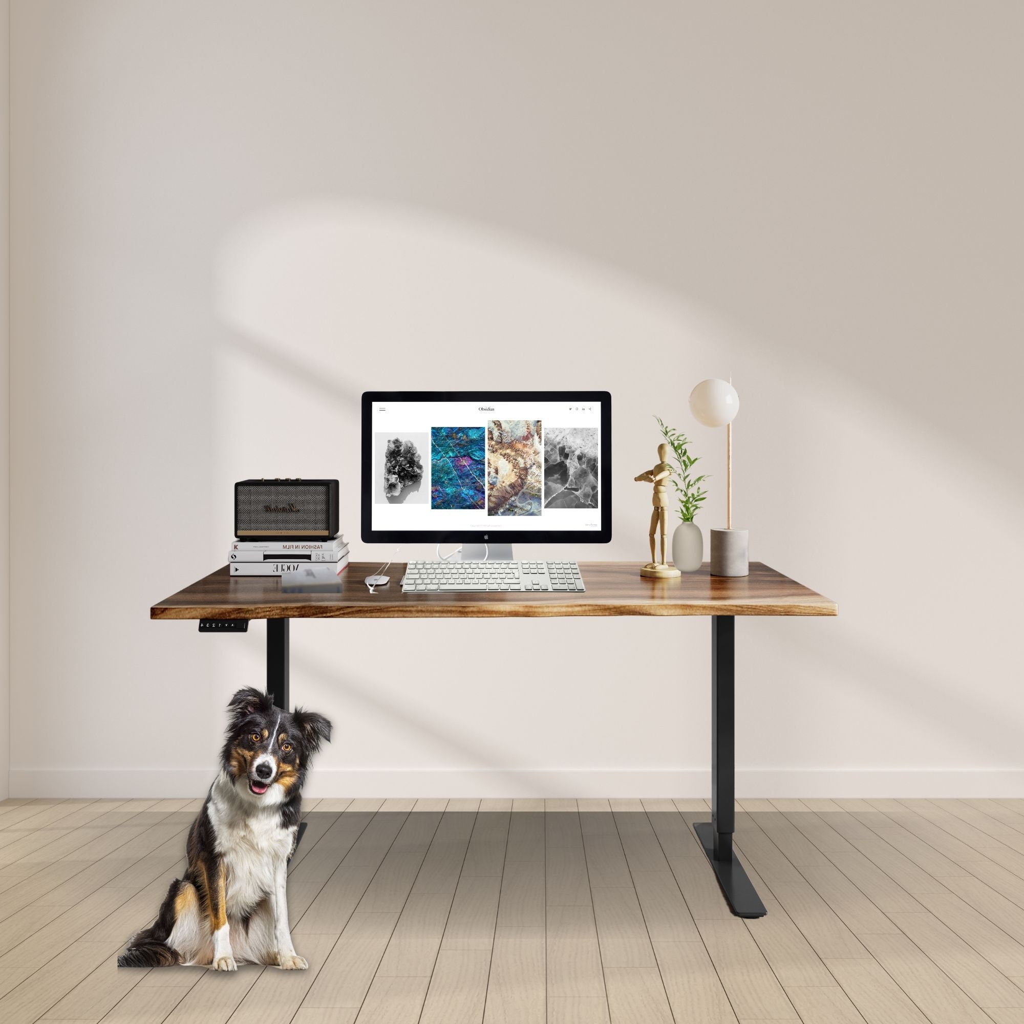Standing Desk | Live Edge Walnut Acacia Desk | Black Dual Motor Frame ...