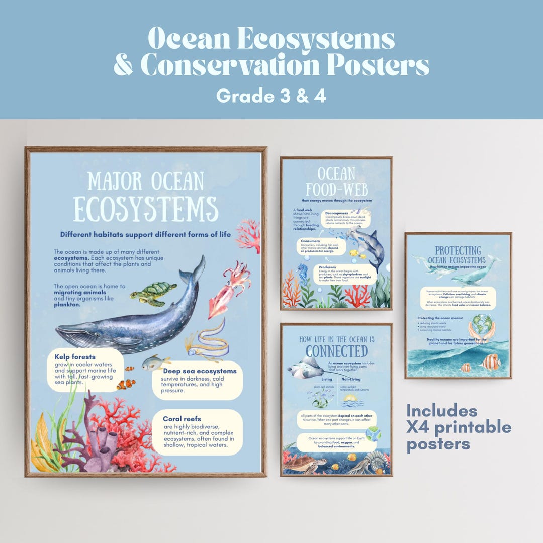 Ocean Ecology Posters | Ocean Conservation | Homeschool Decor | Grade 3 ...