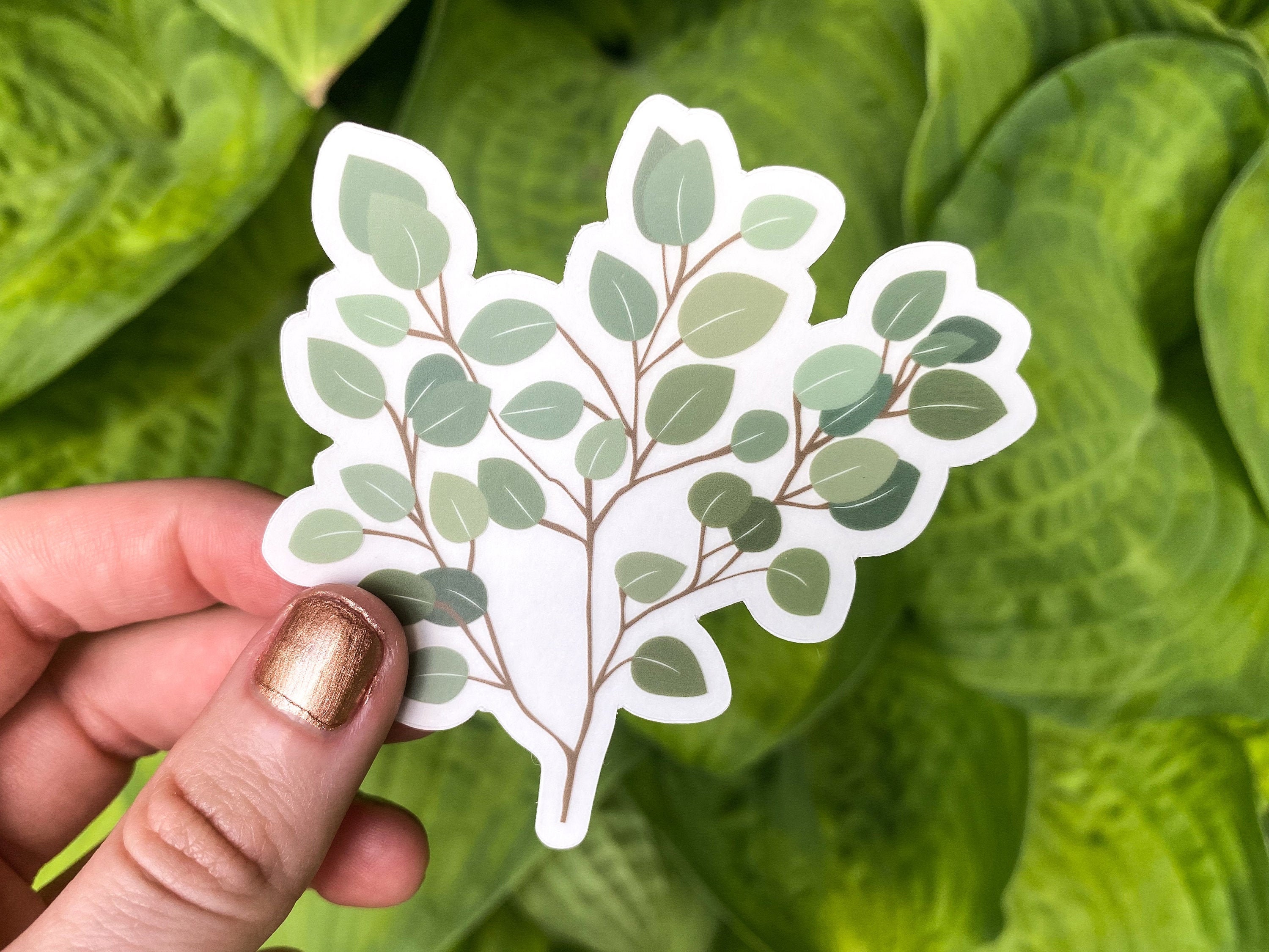Eucalyptus Branch Clear Vinyl Sticker Plant Decal | Etsy