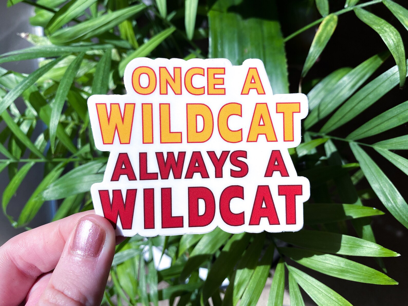 3 Pack Once A Wildcat Always A Wildcat Vinyl Sticker - High School ...
