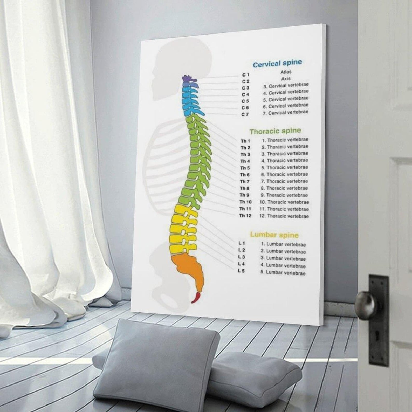Human Spine Structure Canvas Print, Anatomy Art, Medical Decor - Etsy