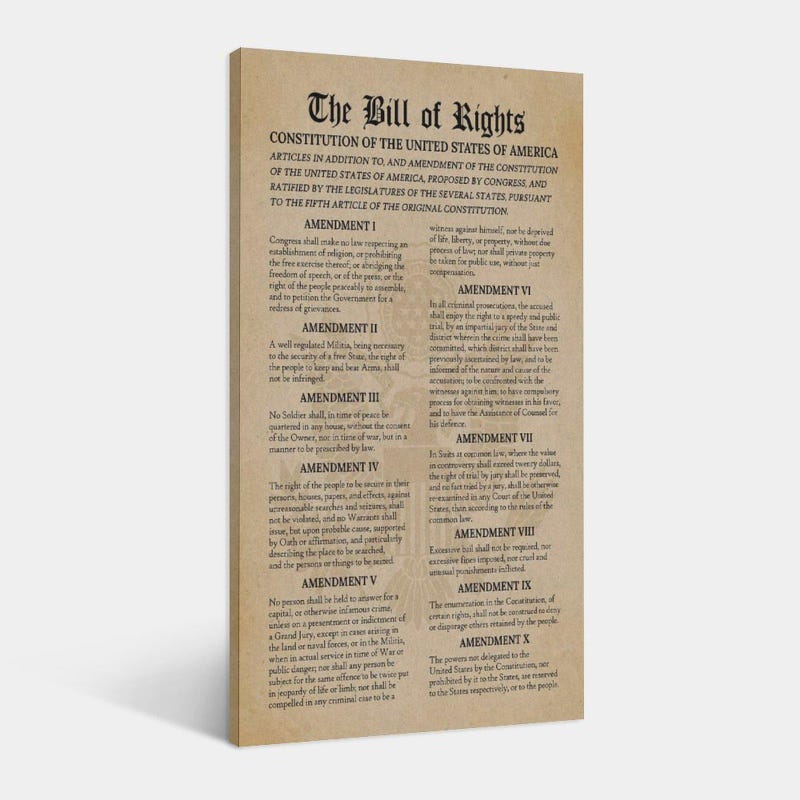 Bill of Rights Poster - Etsy
