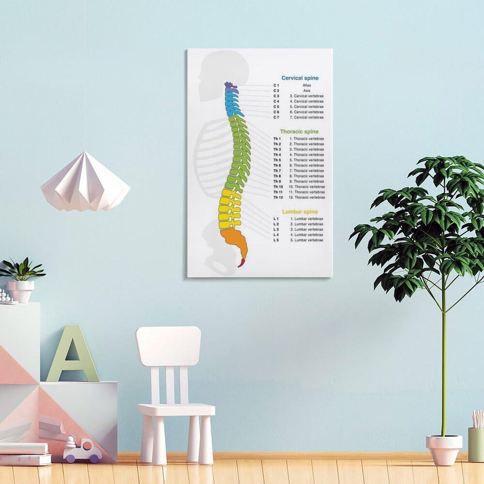 Human Spine Structure Canvas Print, Anatomy Art, Medical Decor - Etsy