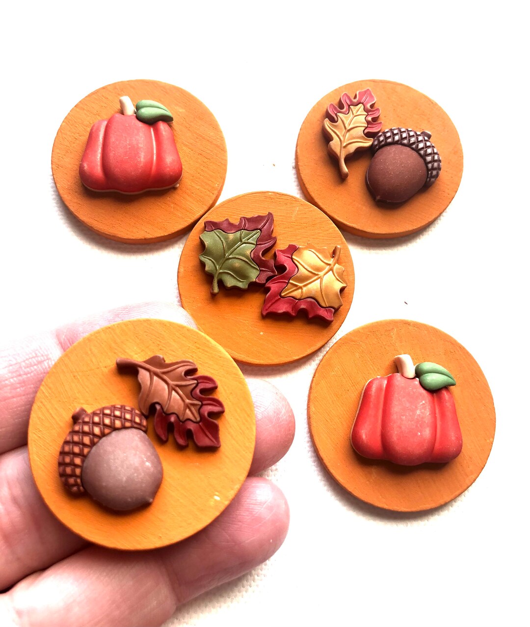 Fall Harvest Magnets Acorn Maple Leaf Pumpkin Orange Dry - Etsy