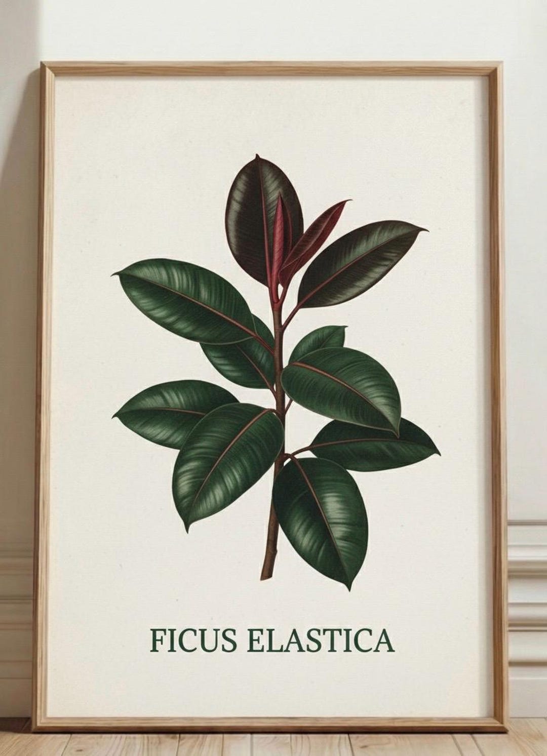 Ficus Elastica Botanische Poster Print, Vintage Wall Art - Etsy