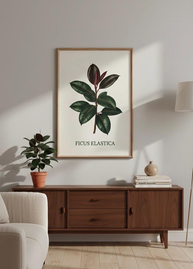 Ficus Elastica Botanische Poster Print, Vintage Wall Art - Etsy