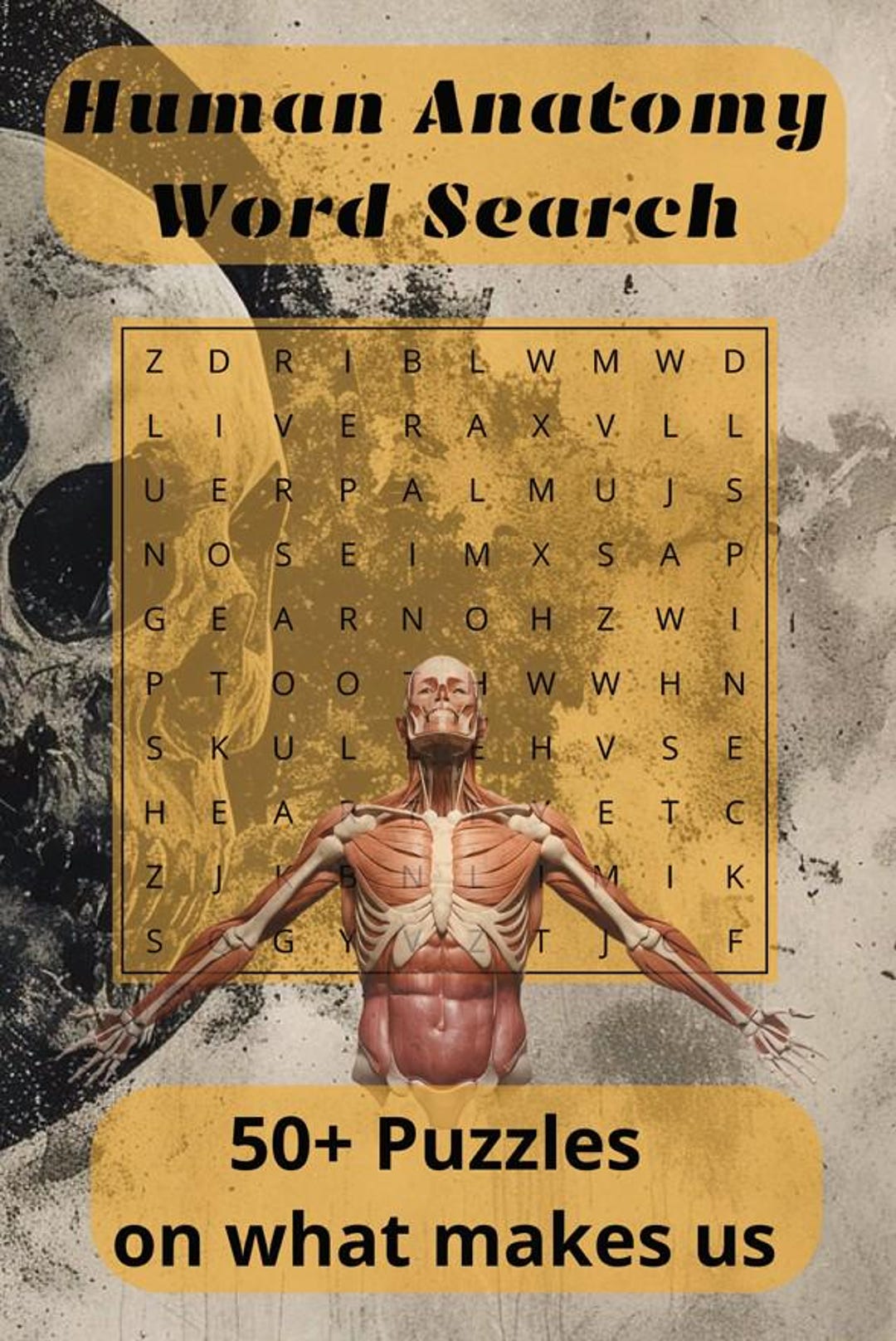 Human Anatomy Word Search - Etsy