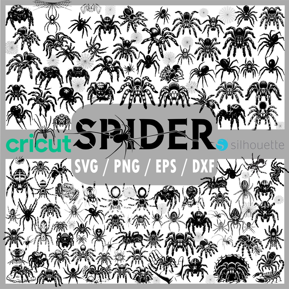 134 SVG Tarantula Spider Mega Bundle | Giant Spiders, Arachnid ...